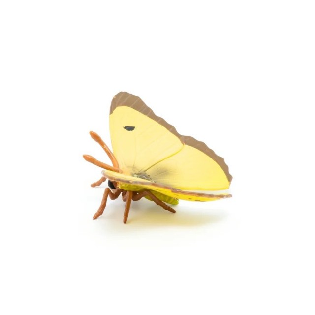 PAPO LEPTIR MARIGOLD