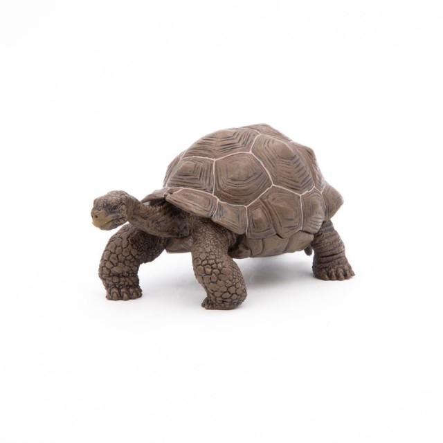 PAPO GALAPAGOSKA KORNJAČA