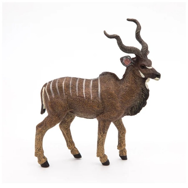 PAPO KUDU ANTILOPA