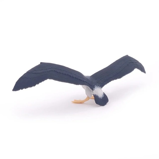 PAPO ALBATROS