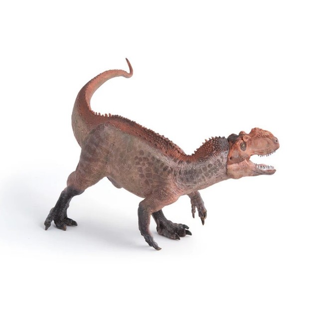 PAPO YANGCHUANOSAURUS