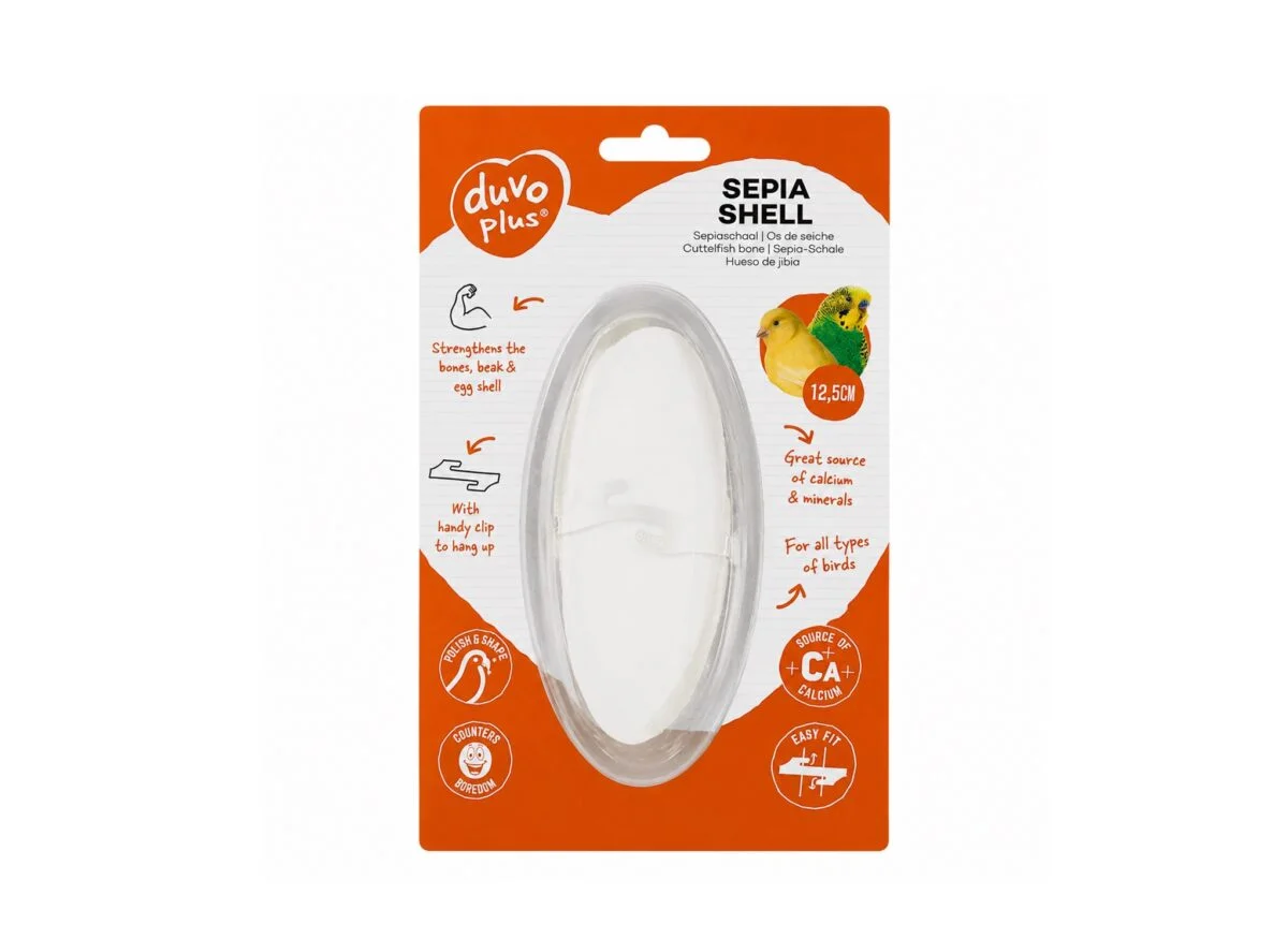 Sipina kost Sepia Shell