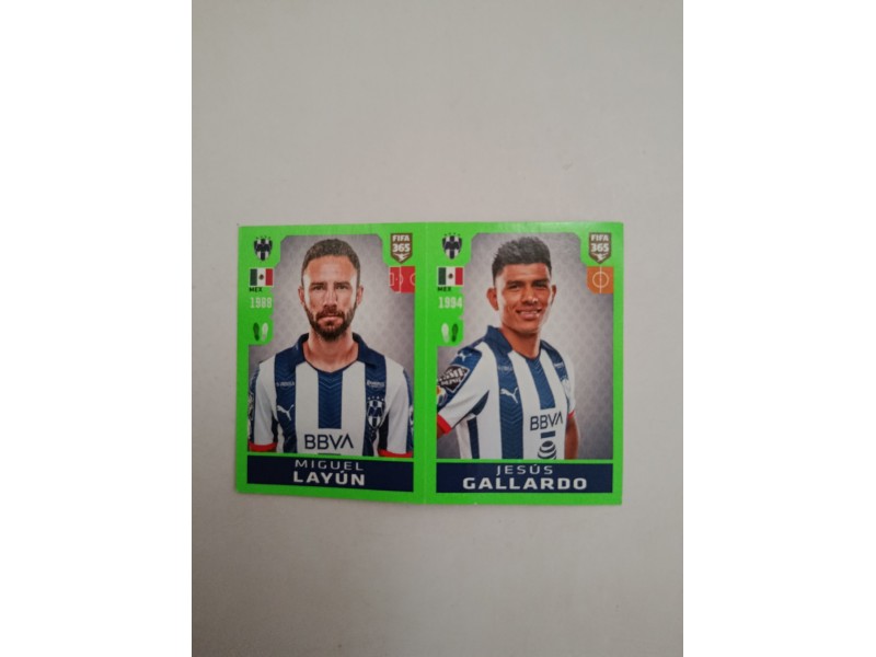PANINI FIFA 365 2020. 361AB