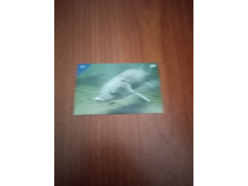 Životinjsko carstvo broj 57