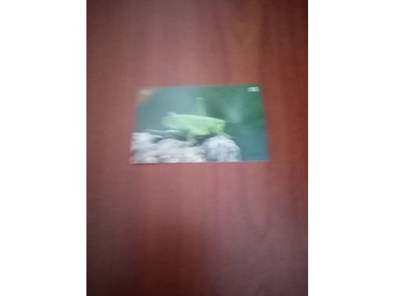 Životinjsko carstvo broj 32