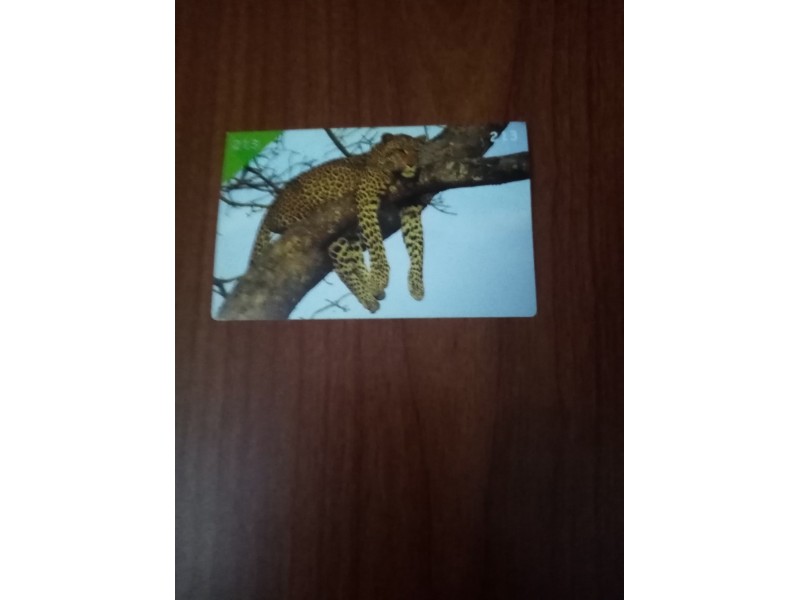 Životinjsko carstvo broj 213