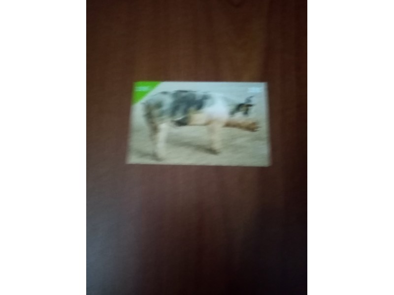 Životinjsko carstvo broj 235