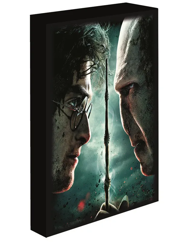 HARRY POTTER svetleće platno HARRY VS VOLDEMOR