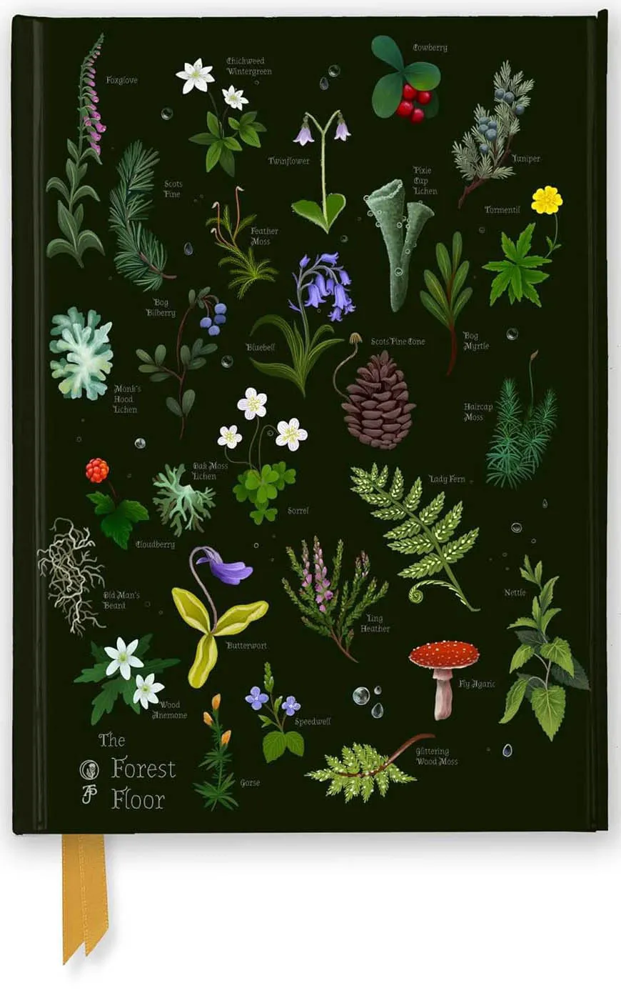 Notes ANNA STEAD: The Forest Floor