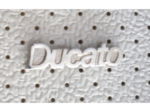 `Fiat Ducato`