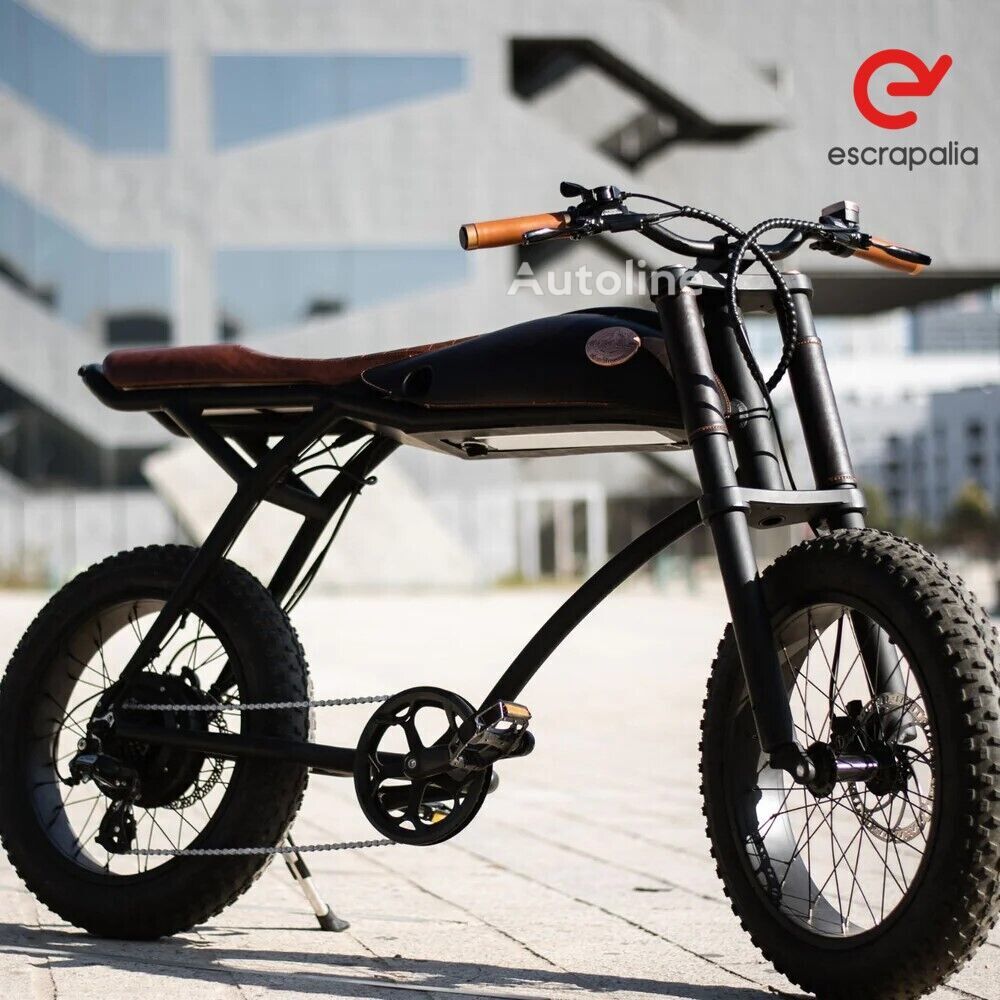 Prodaje se Bicicleta Eléctrica Premium Rayvolt Ringo Smart Hub 48V - Nueva bicikl na aukciji