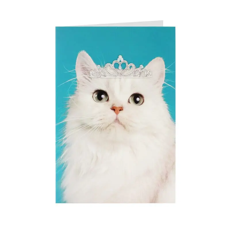 Dexy Co Cestitke Čestitka Happy birthday cat
