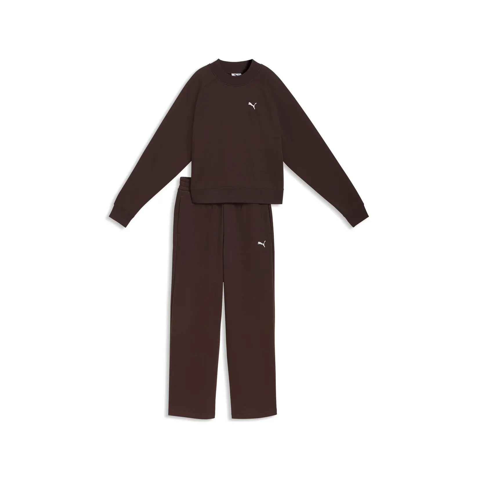 Puma Ženska komplet trenerka Loungewear Standard Sweat Suitt Fl Cl, 693995-33, Braon