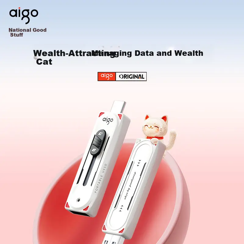 Aigo USB Flash memorija, 256GB, Type-C, OTG, USB 3.2