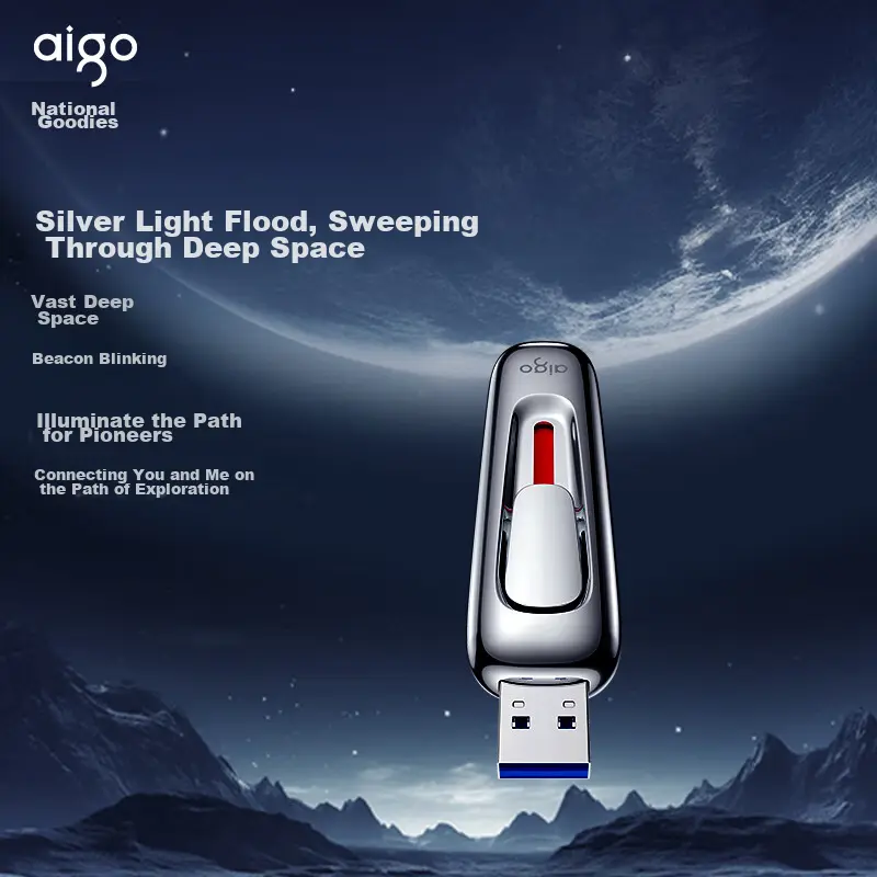 Aigo USB Flash memorija, 256GB, Type-C, OTG, USB 3.2