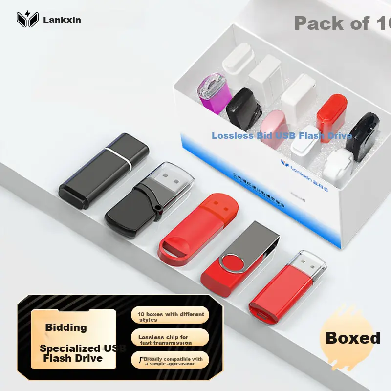 Lankxin USB Flash memorija, 1GB, USB 2.0, 10 komada, Višebojna