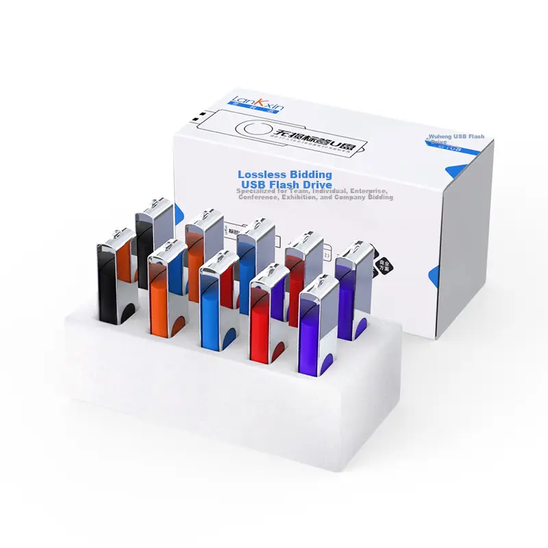 Lankxin USB Flash memorija, 256MB, USB 2.0, 10 komada, Višebojna