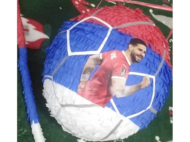 Mitrović i Srpski grb,fudbal,PINJATA