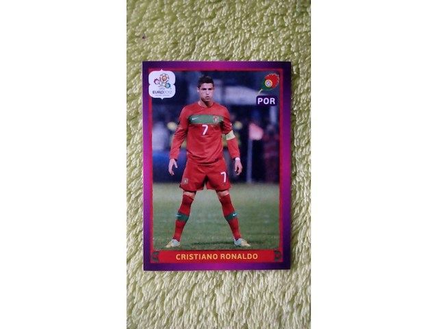 Panini EURO 2012 sličica broj 280