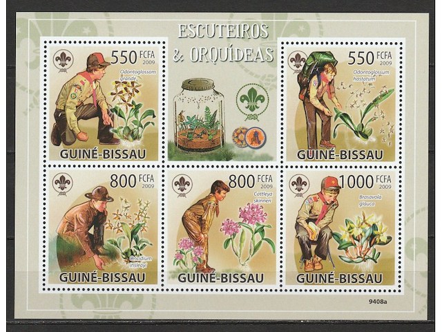 Guinea-Bissau, Gvineja Bisao, Skauti, izviđači, scout⚜️