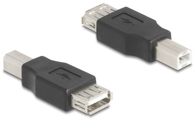 Delock 2.0 USB 2.0 adapter crna