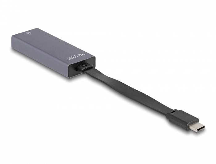 Delock 2.0 USB 2.0 adapter 0.09 m
