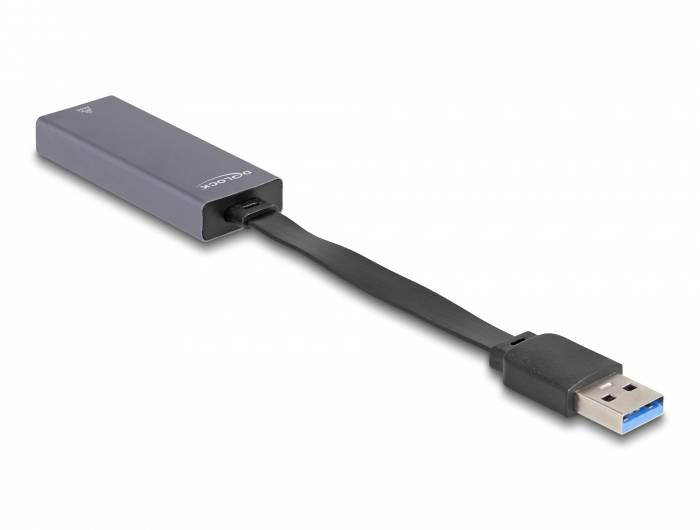 Delock 2.0 USB 2.0 adapter 0.09 m
