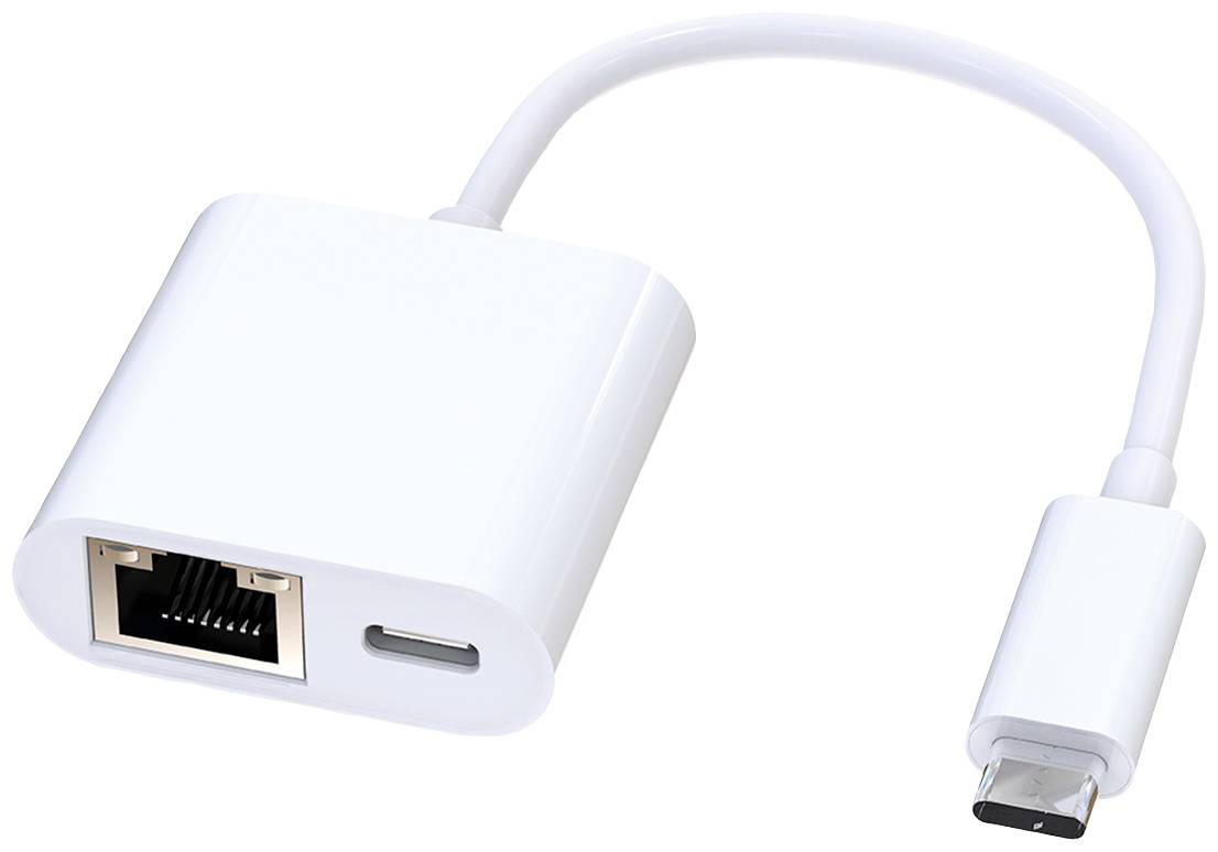 ROLINE 3.1 USB 3.1 (gen. 2) pretvarač bela