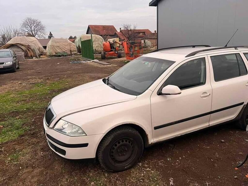 AMORTIZERI HAUBE I GEPEKA ZA ŠKODA OCTAVIA | Amortizeri haube i