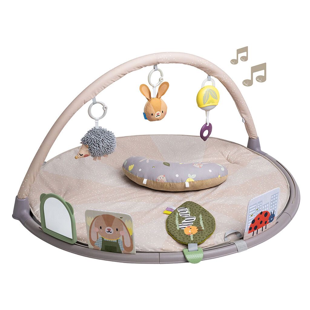 Taf Toys muzička gimnastika Šifra proizvoda: 2211 Inovativna, bogato