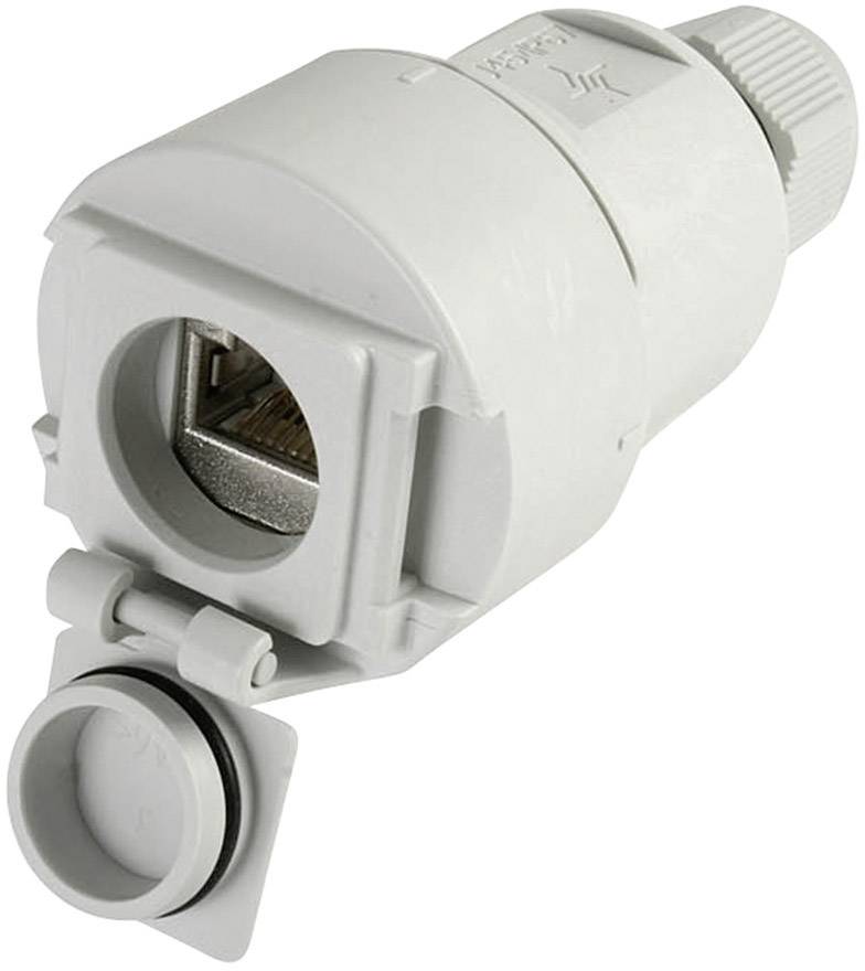 Telegärtner 1179980 RJ45 konektor ravna 8P8C pol. svetlo siva