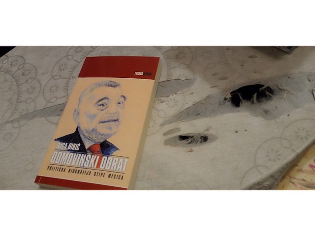 Ivica Đikić-Domovinski obrat