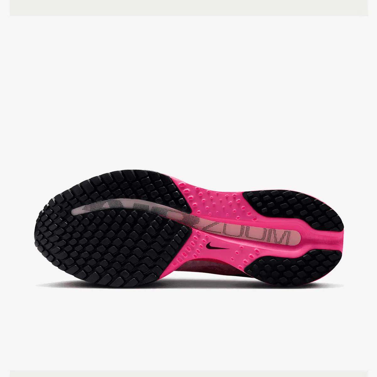 NIKE Patike Pegasus Premium