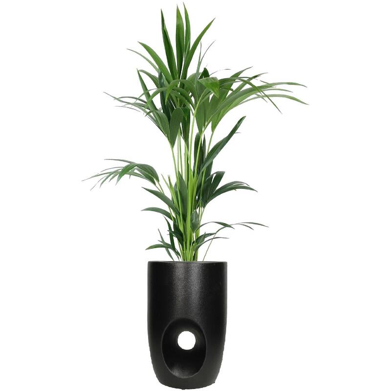 SAKSIJA ZA CVEĆE – Planter Fine Earthenware Black 22x22x34.2cm