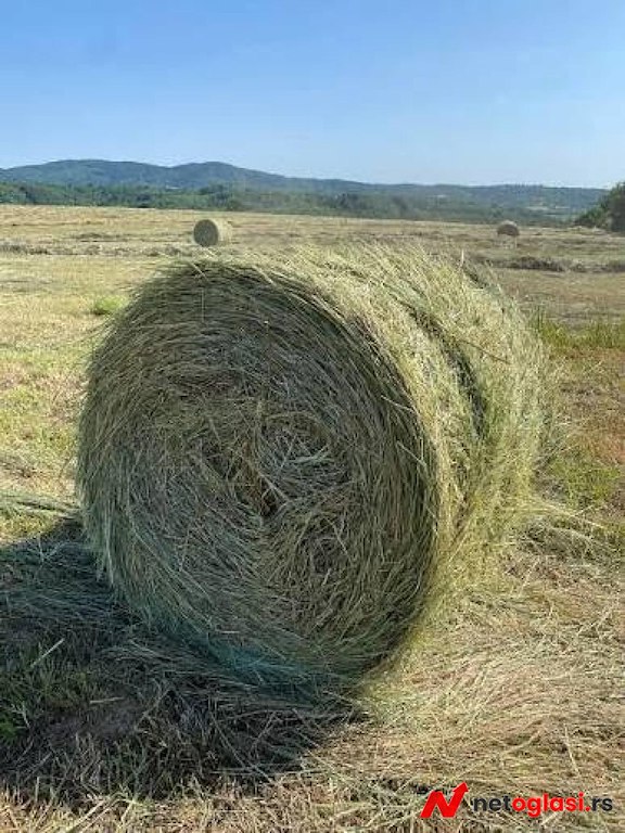 Seno lucerke ekstra kvaliteta