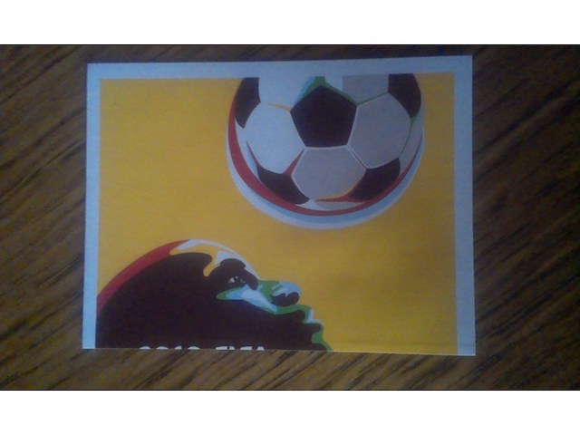Panini FIFA 2010 J.Afrika sličica broj 027