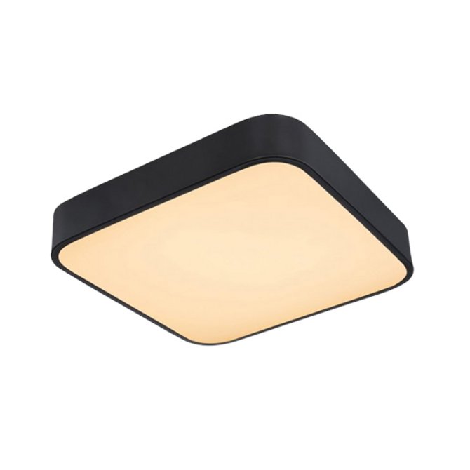 GLOBO Led plafonjera Leanara 41755-24B