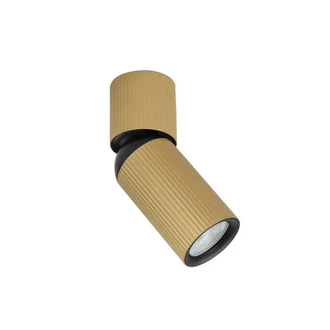 FORMA plafonska lampa AFS117-1C SG