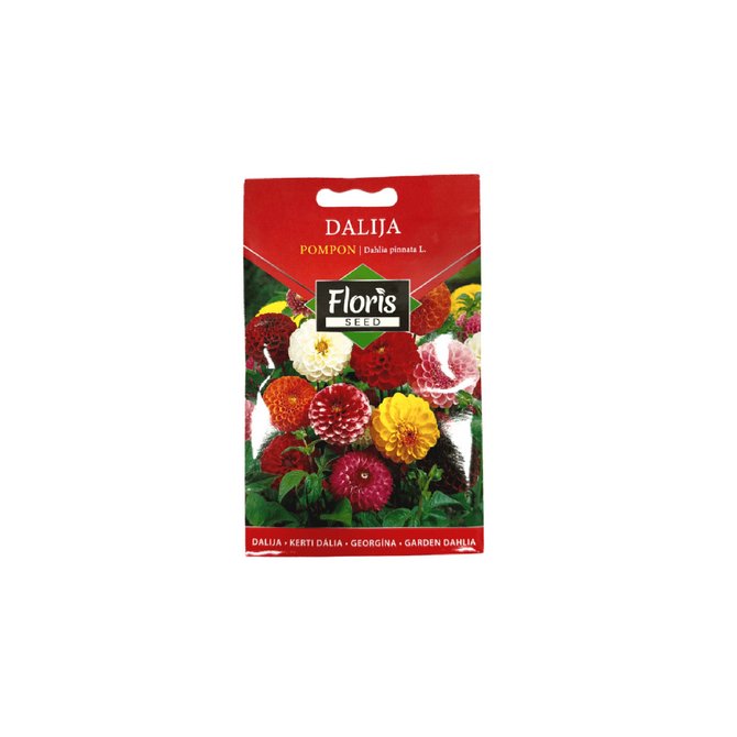 FLORIS cveće Dalija pompon 0.3 g