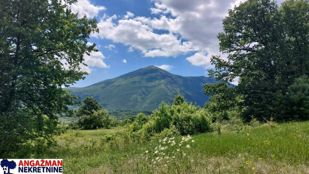 Plac, Boljevac – Mirovo | Prodaja · 12104m² · 14.000€