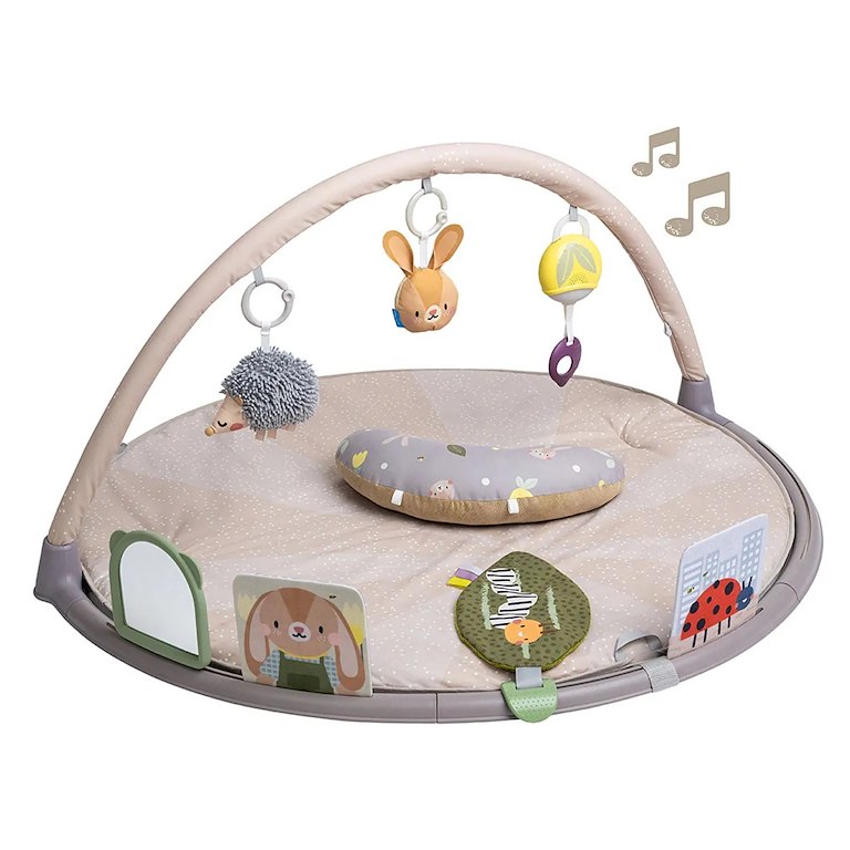 Taf Toys gimnastika 22114096ID: EK000879240