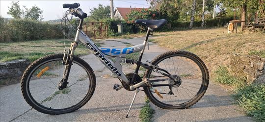 Capriolo CTX 260
