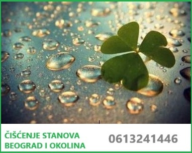 Profesionalno i pouzdano čišćenje stanova i poslovnih prostora