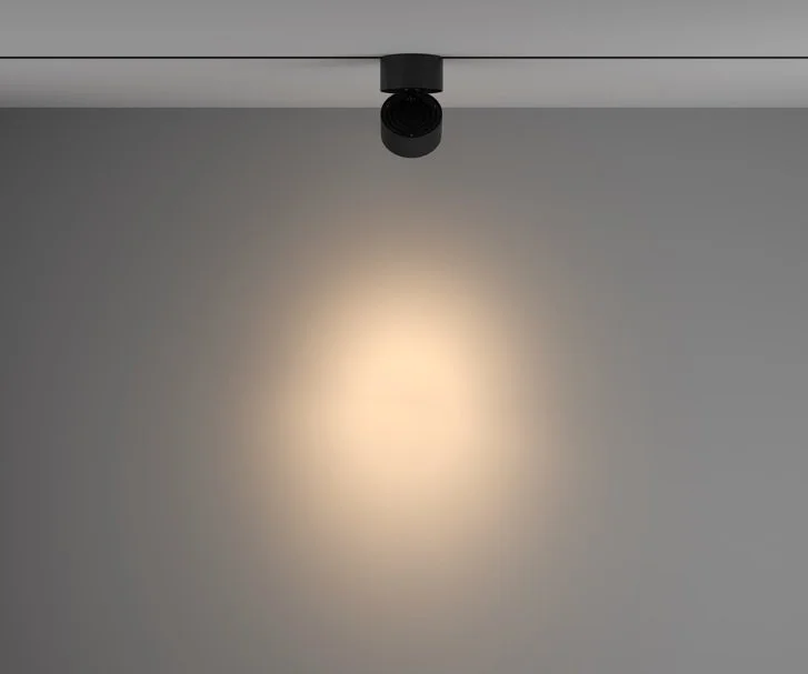 Maytoni YIN Crna Sinski Reflektor