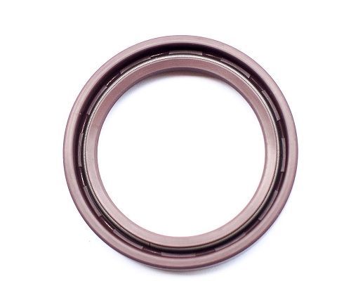 SEM.20x30x8 DC/VITON DUPLI