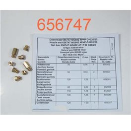 DIZNE ZA GAS / ZEMNI set/8 656747 / GORENJE