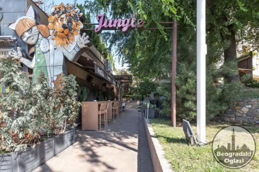 Caffe i igraonici Jungle u Žarkovu potrebni konobari, šankeri, animatori i devojka za rad na pultu