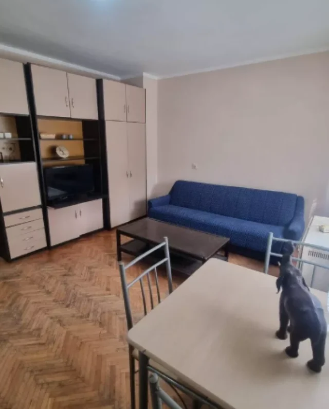 Garsonjera na Trgu Aleksandra Ujedinitelja