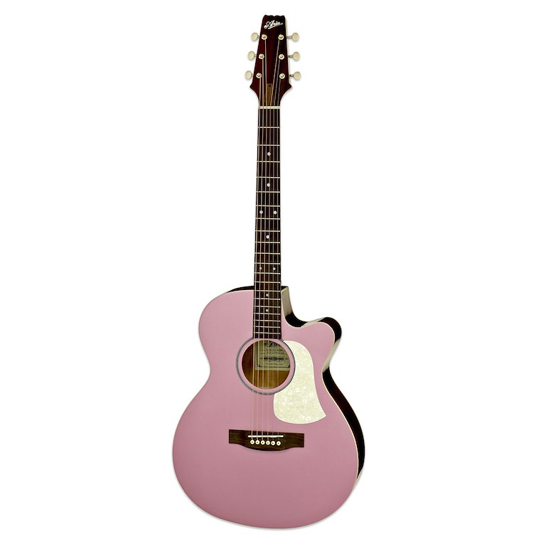 Aria FET-R1 MSRO - Ozvučena akustična Gitara