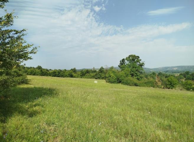 Prodajem njivu ( poljoprivredno zemljiste) 1,9 ha